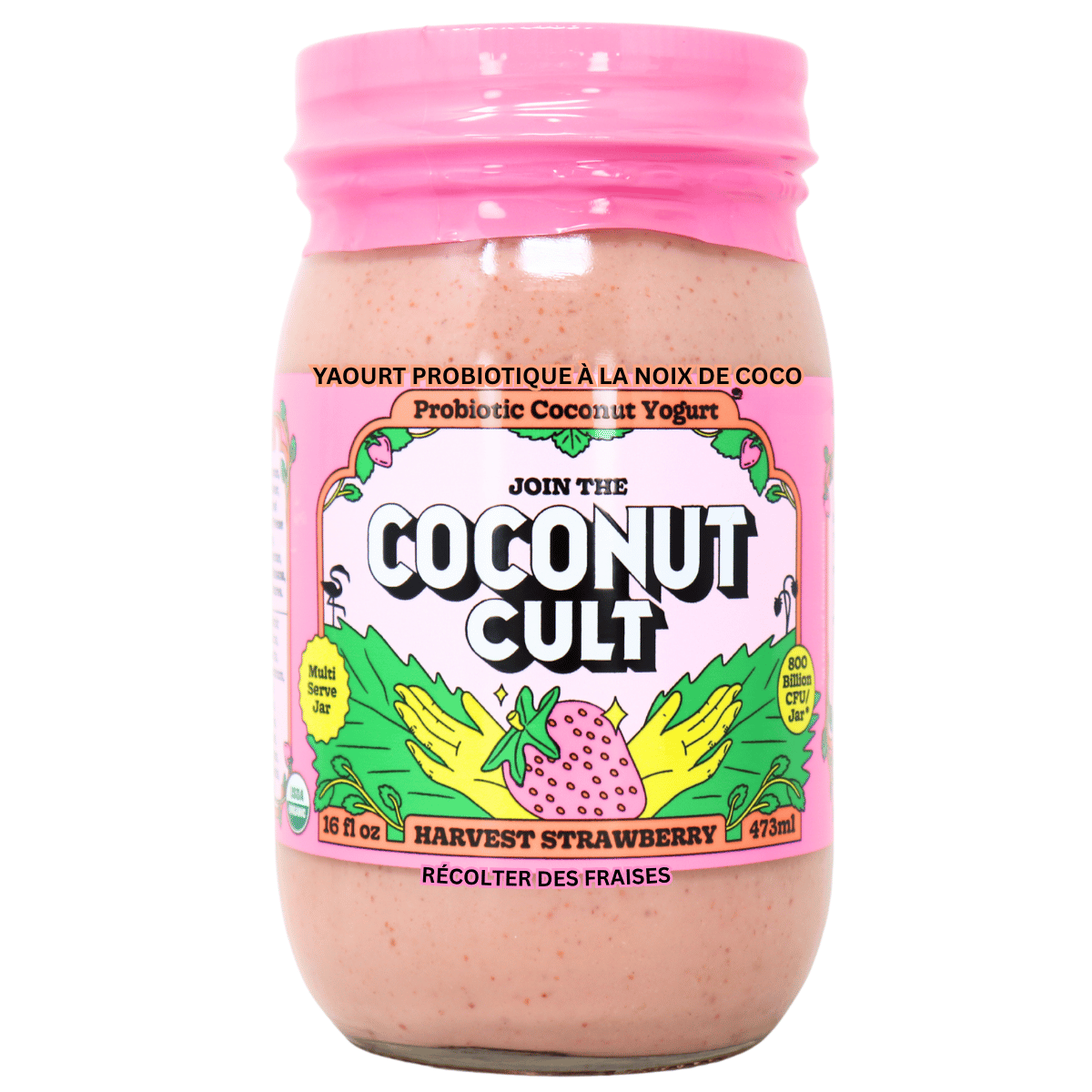 The Coconut Cult Probiotic Coconut Yogurt Harvest Strawberry at ...