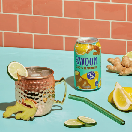 Swoon Sugar-Free Ginger Lemonade Naturally Sweetened at NaturaMarket