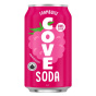 Cove Zero Sugar Probiotic Soda Raspberry at NaturaMarket